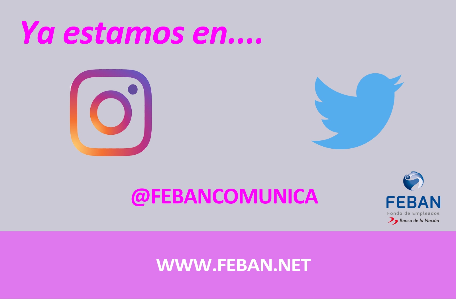 Búscanos en instagram y twitter – FEBAN